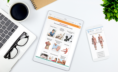 Massage Therapist Insurance, Education, & Resources for Students | ABMP